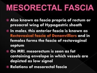 Anatomy&Physiology of Rectum | PPTX