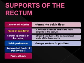 Anatomy&Physiology of Rectum | PPTX