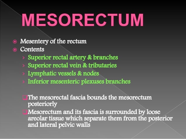 Anatomy&Physiology of Rectum