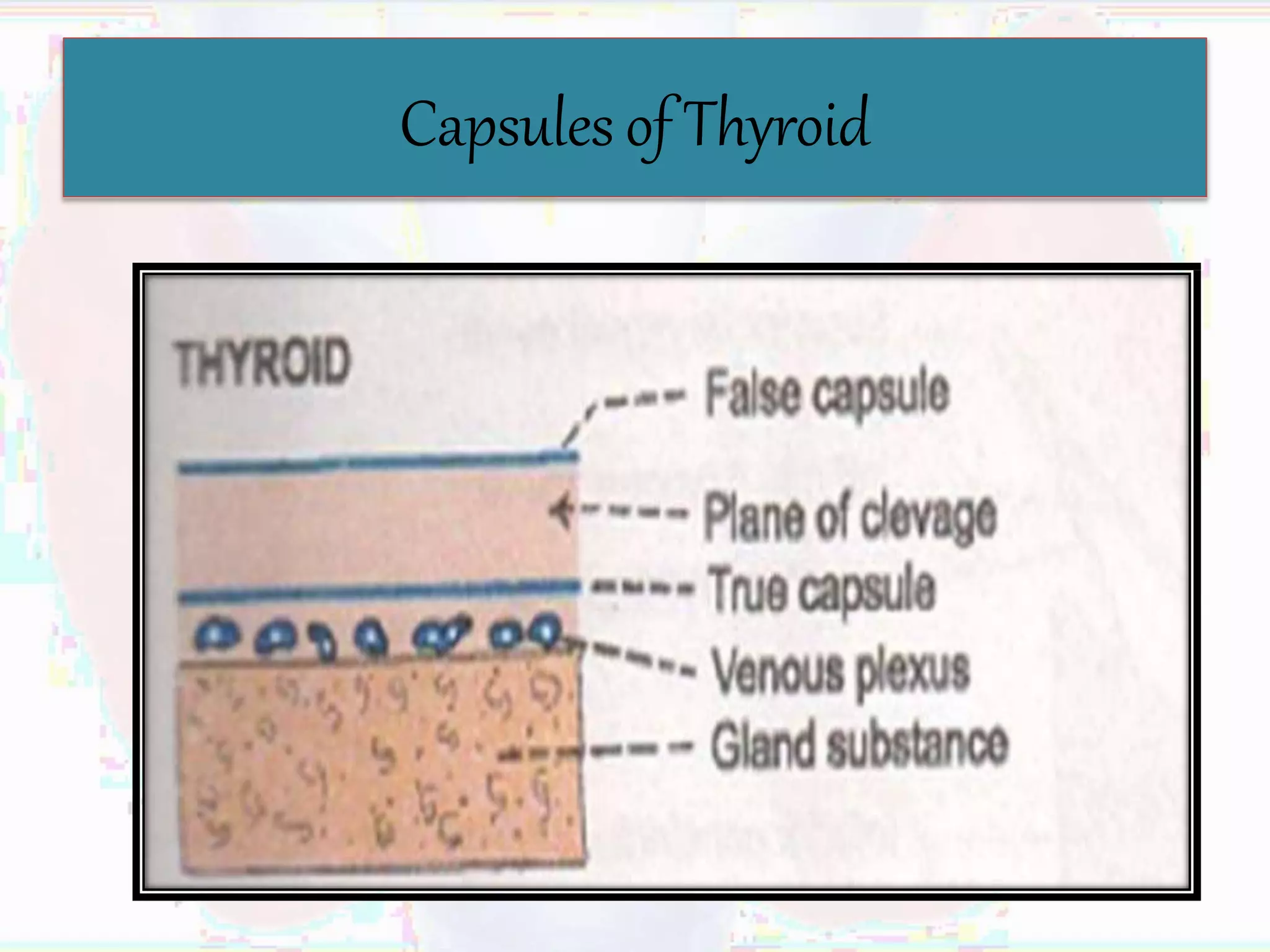 Surgery Thyroid Pptx