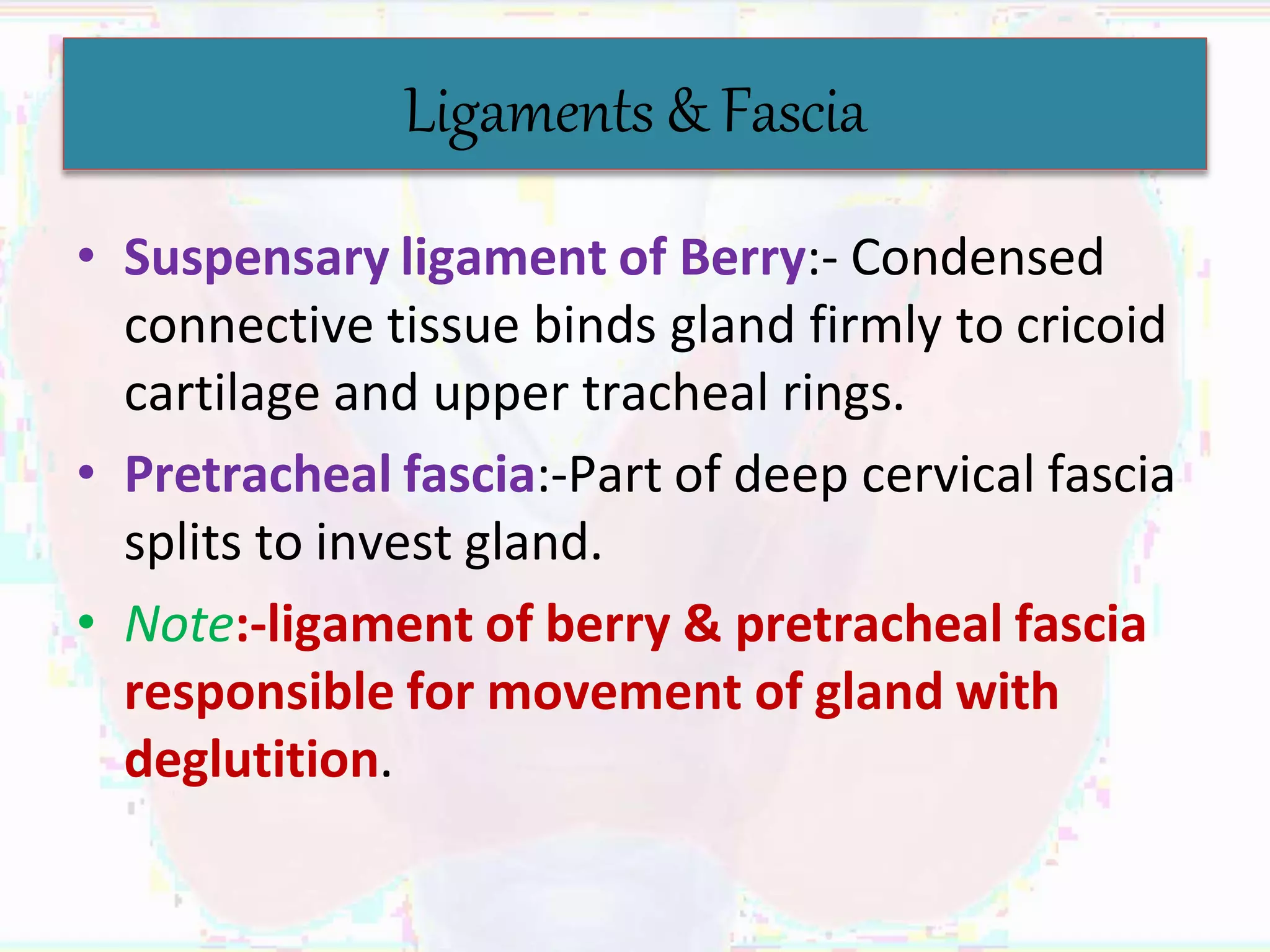 Surgery Thyroid.pptx