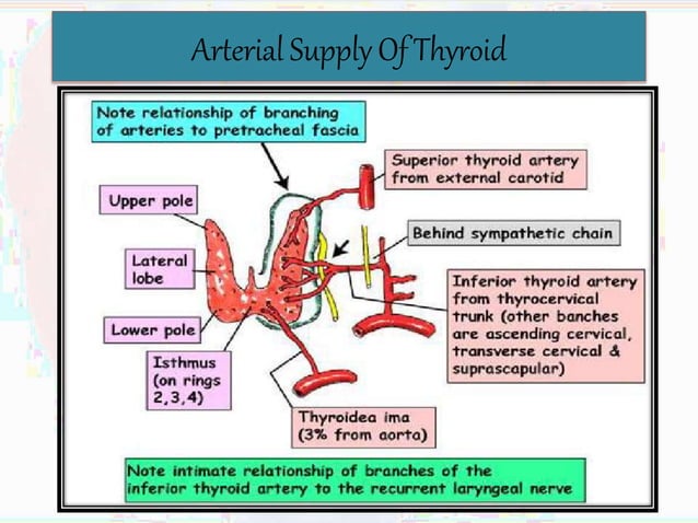 Surgery Thyroid.pptx