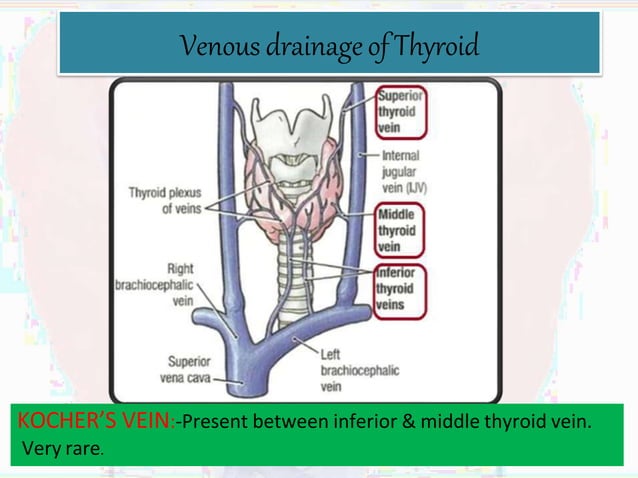 Surgery Thyroid.pptx