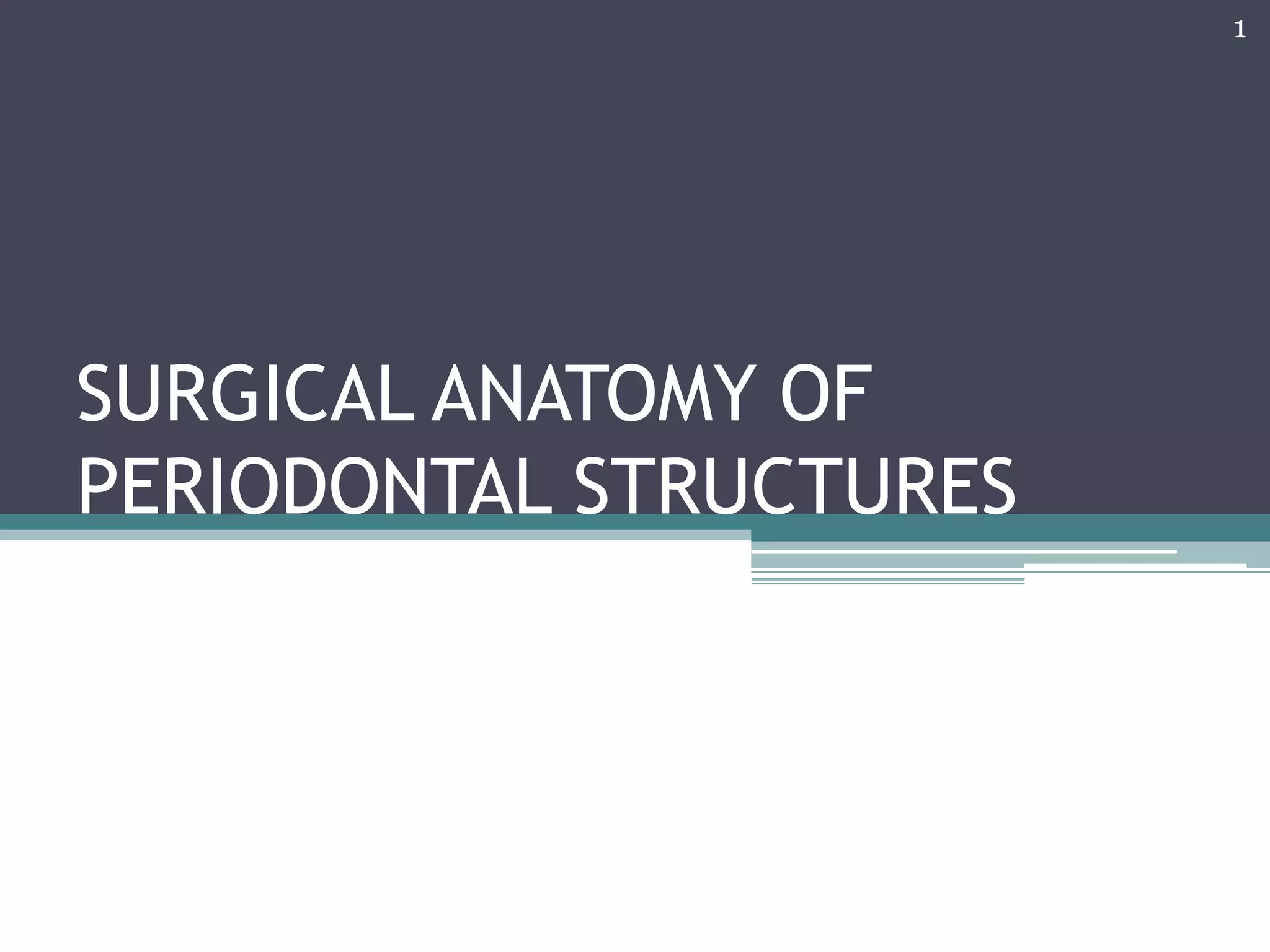 Surgical anatomy of periodontal structures, | PPTX