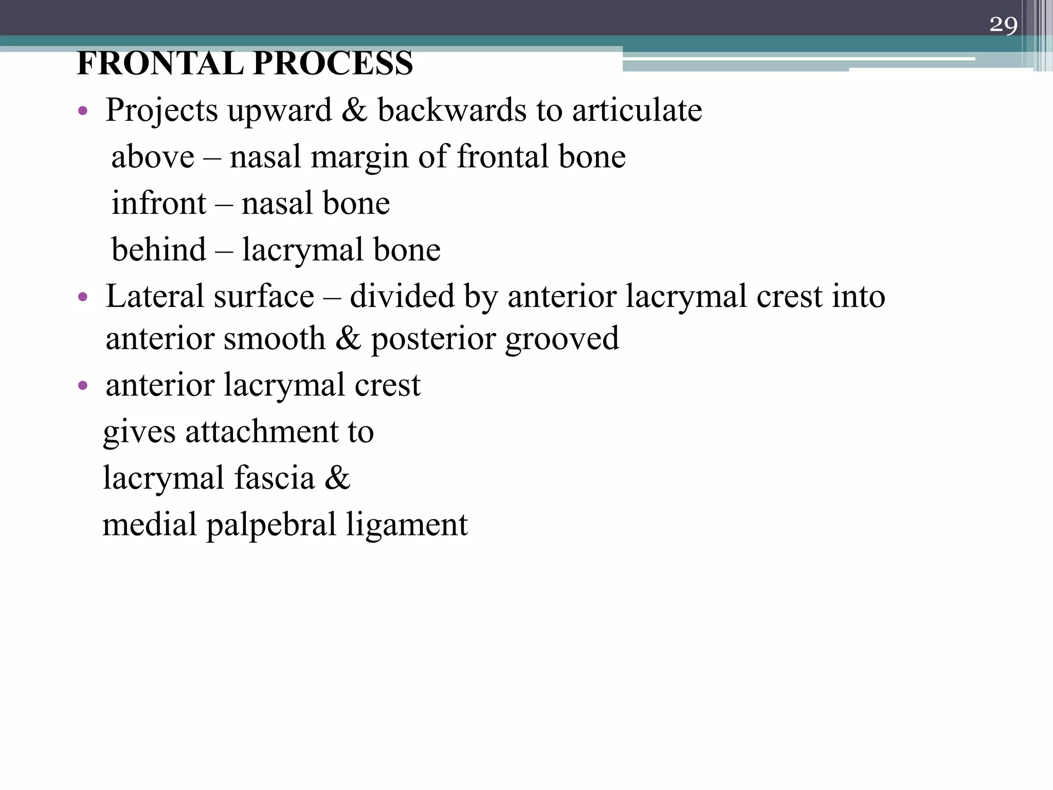 Surgical anatomy of periodontal structures, | PPTX