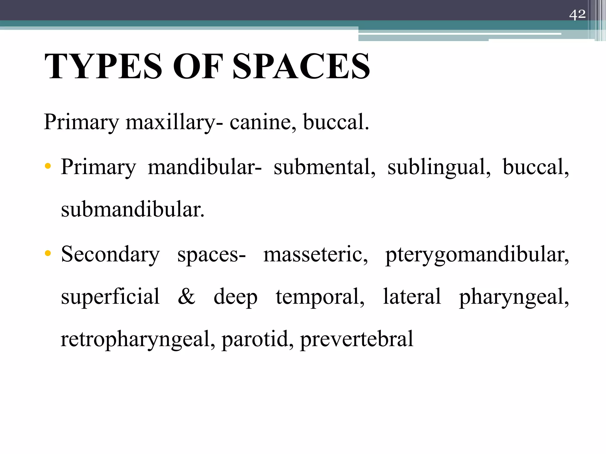 Surgical anatomy of periodontal structures, | PPTX