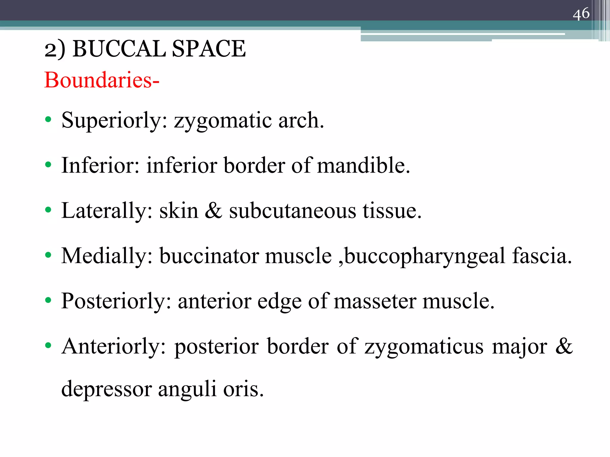 Surgical anatomy of periodontal structures, | PPTX