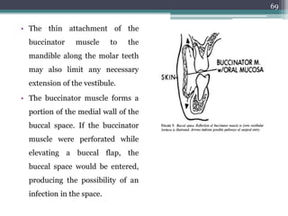 Surgical anatomy of periodontal structures, | PPTX