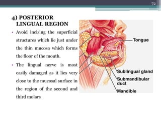 Surgical anatomy of periodontal structures, | PPTX