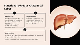 Surgical-Anatomy-of-the-Liver-Foundations-for-Safe-and-Effective ...