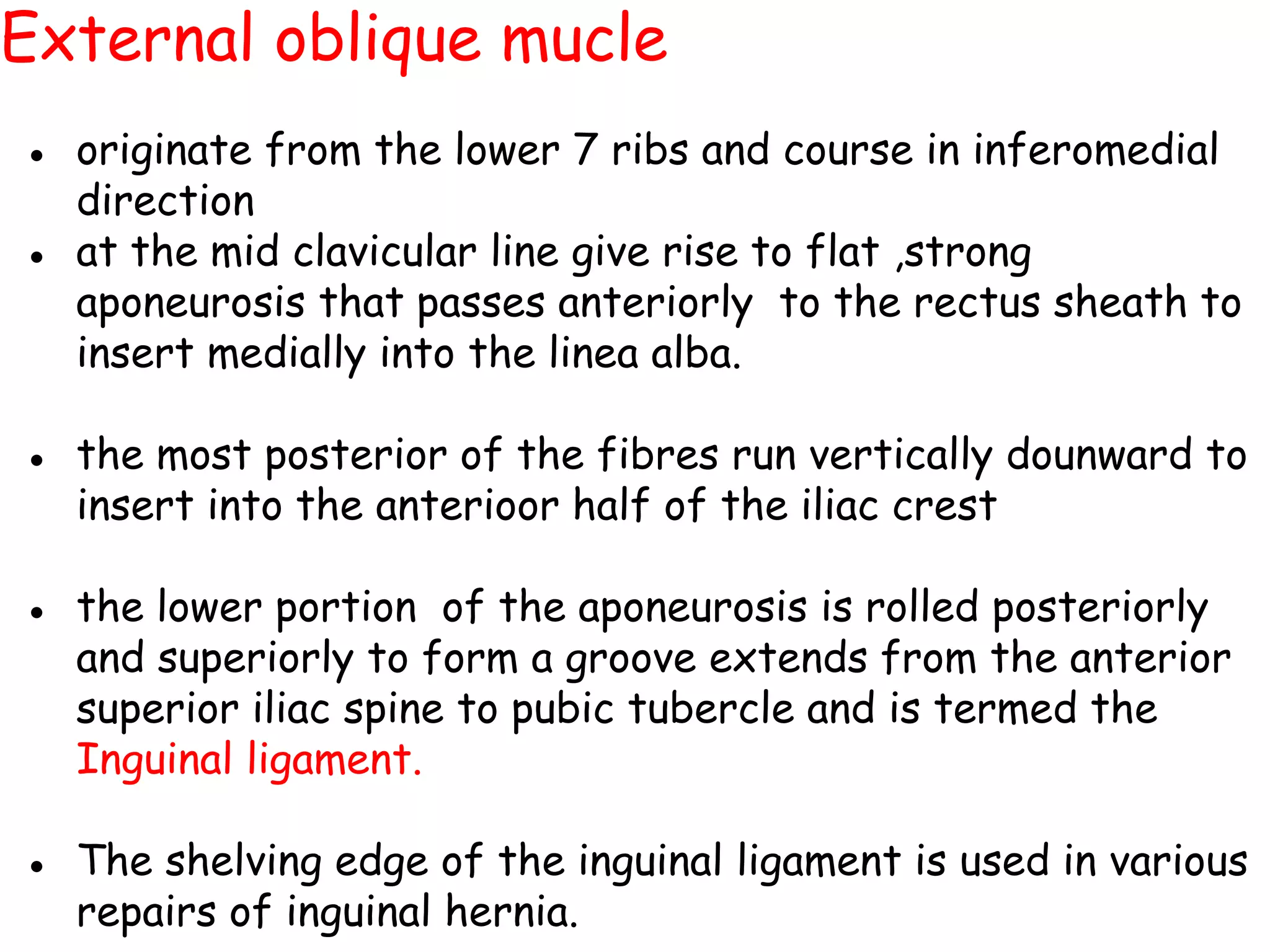 Surgical anatomy of inguinal canal | PPTX