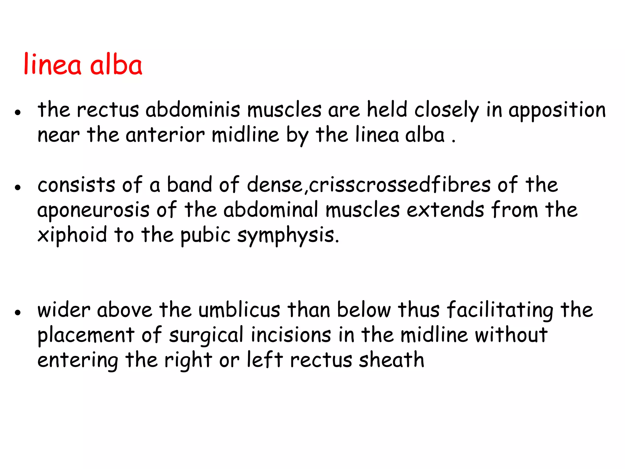 Surgical anatomy of inguinal canal | PPTX