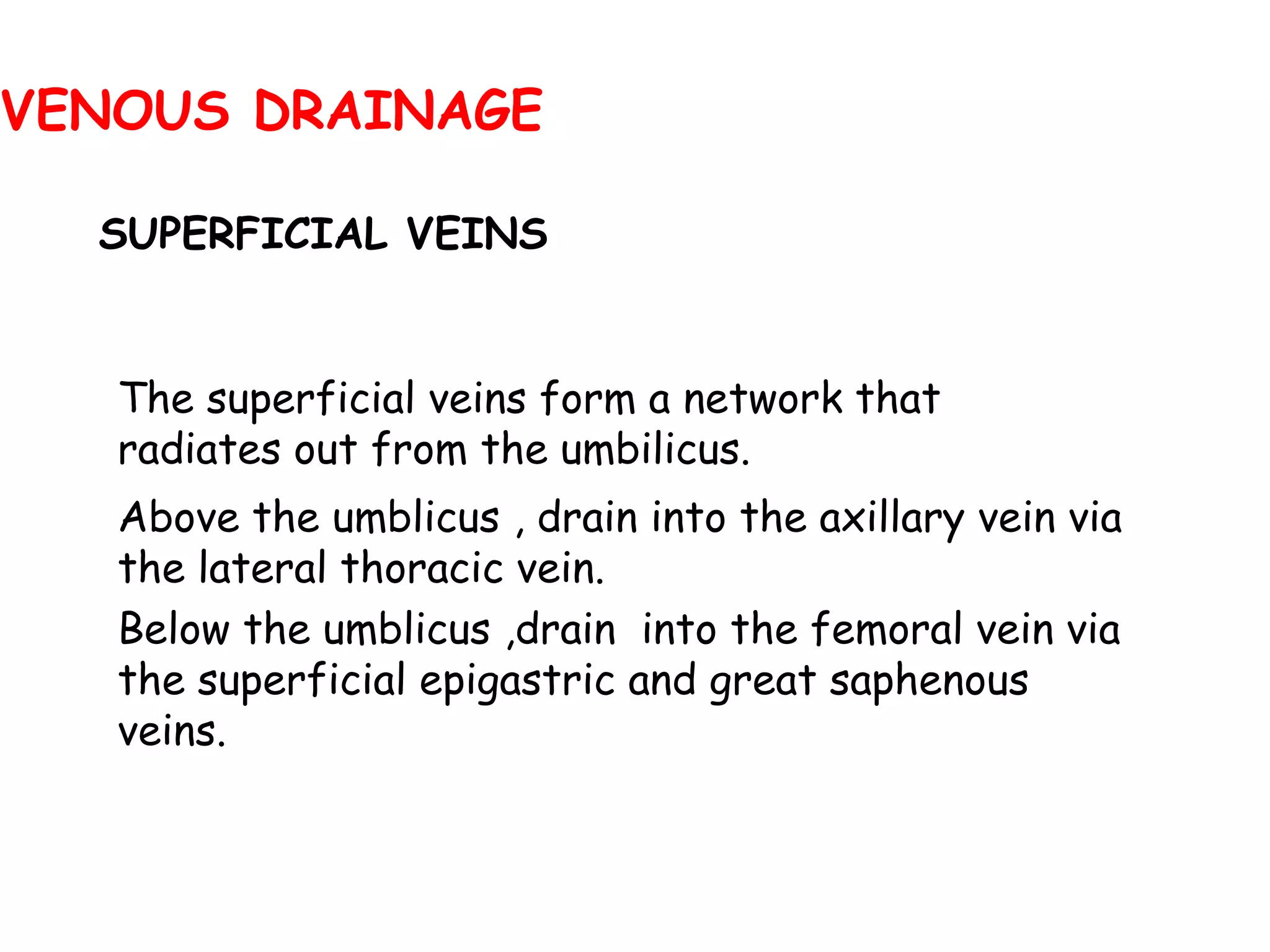 Surgical anatomy of inguinal canal | PPTX