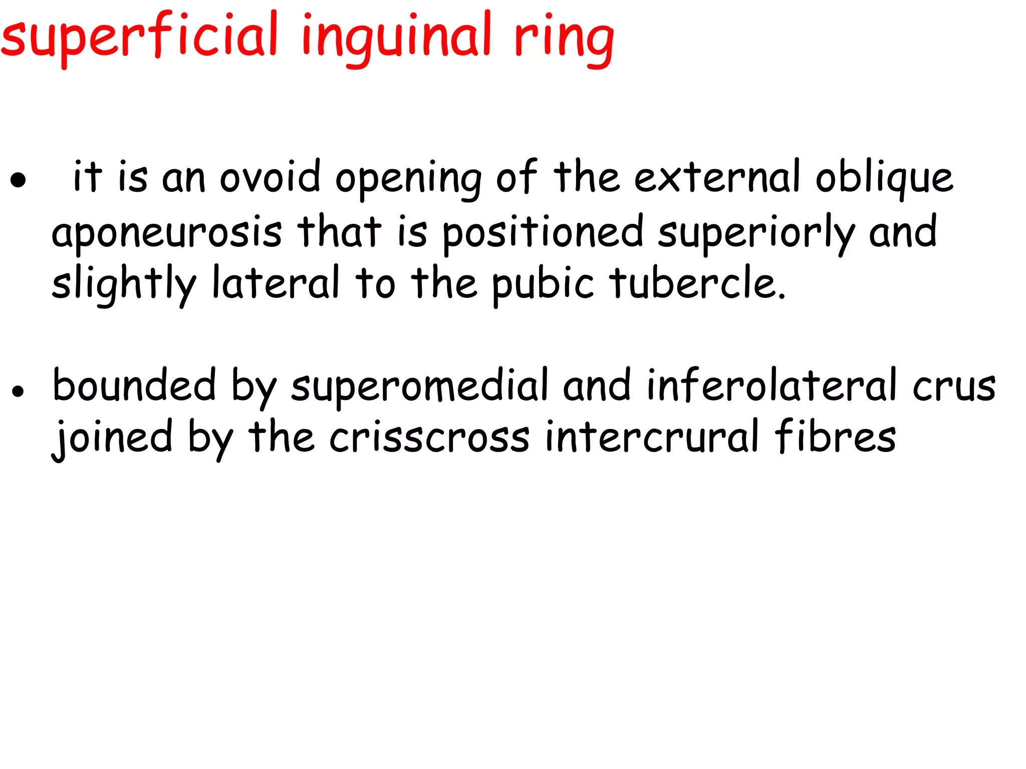 Surgical anatomy of inguinal canal | PPTX