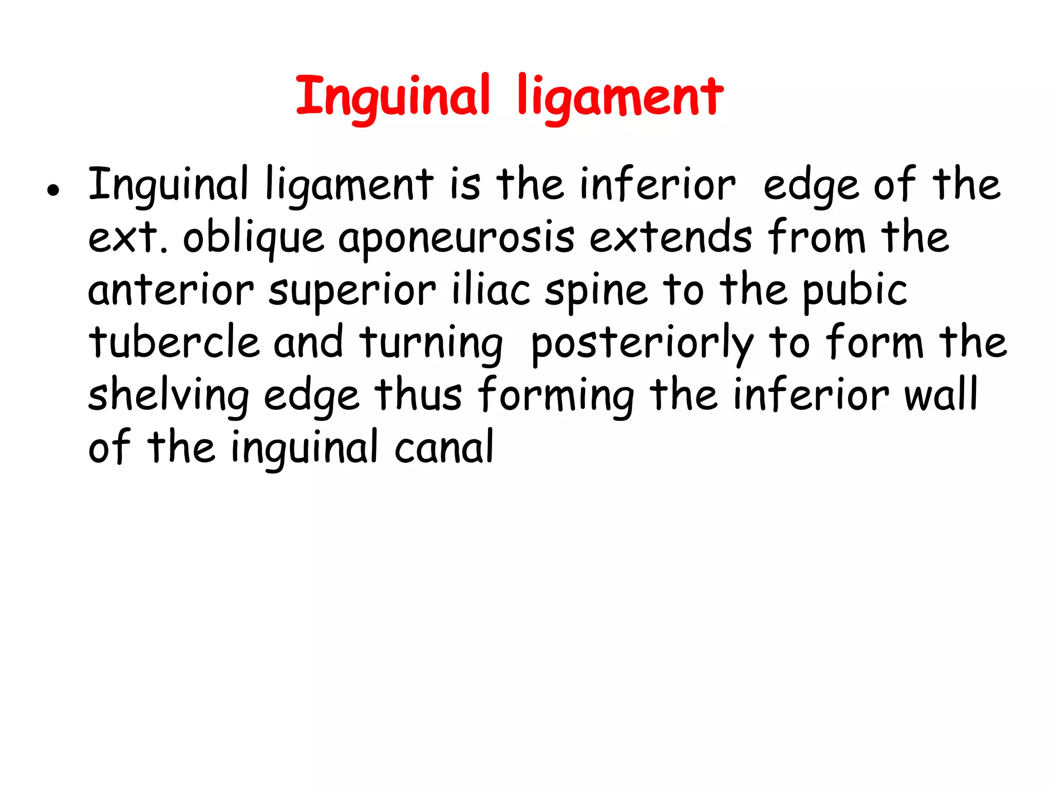 Surgical anatomy of inguinal canal | PPTX