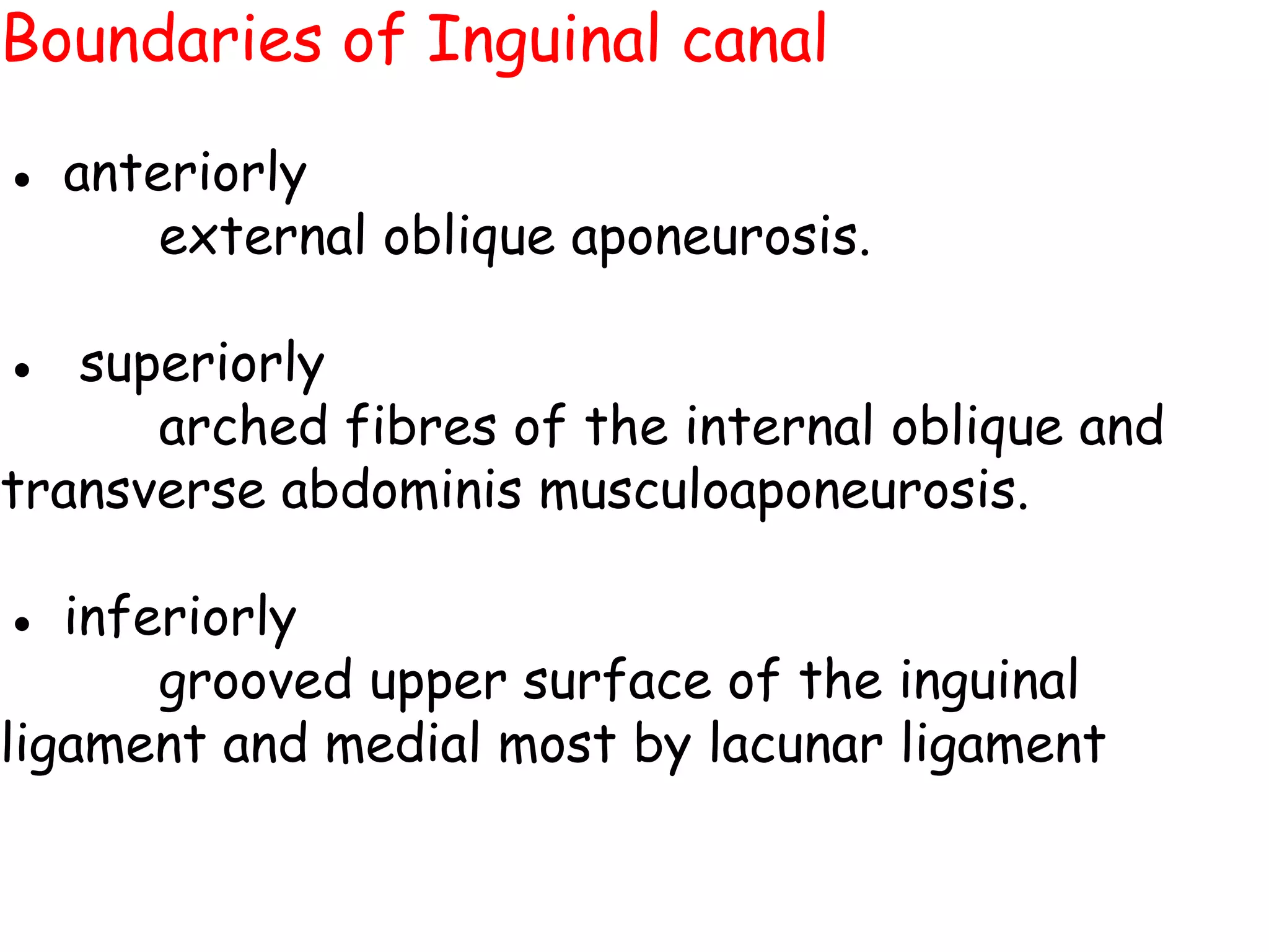 Surgical anatomy of inguinal canal | PPTX