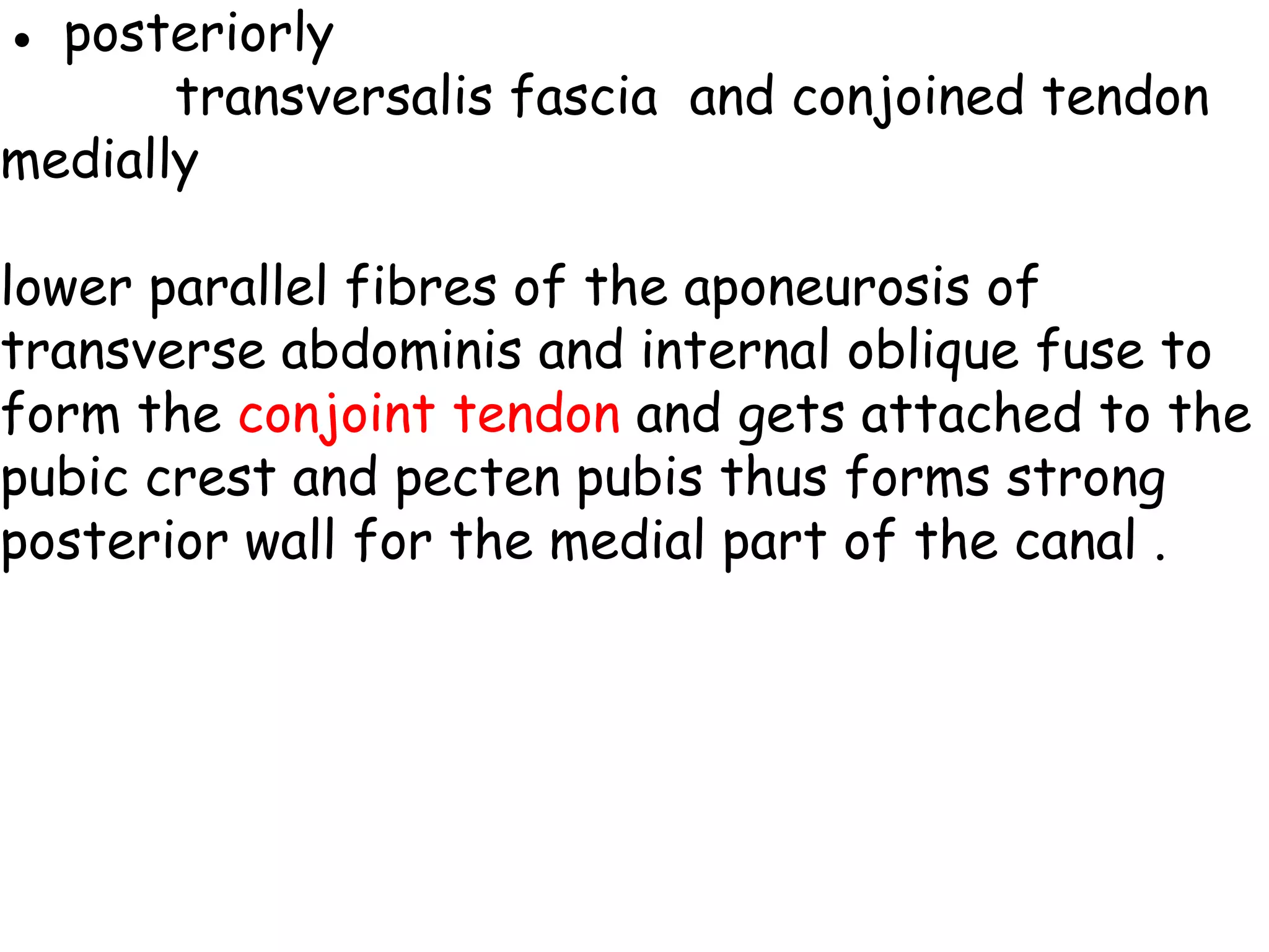 Surgical anatomy of inguinal canal | PPTX