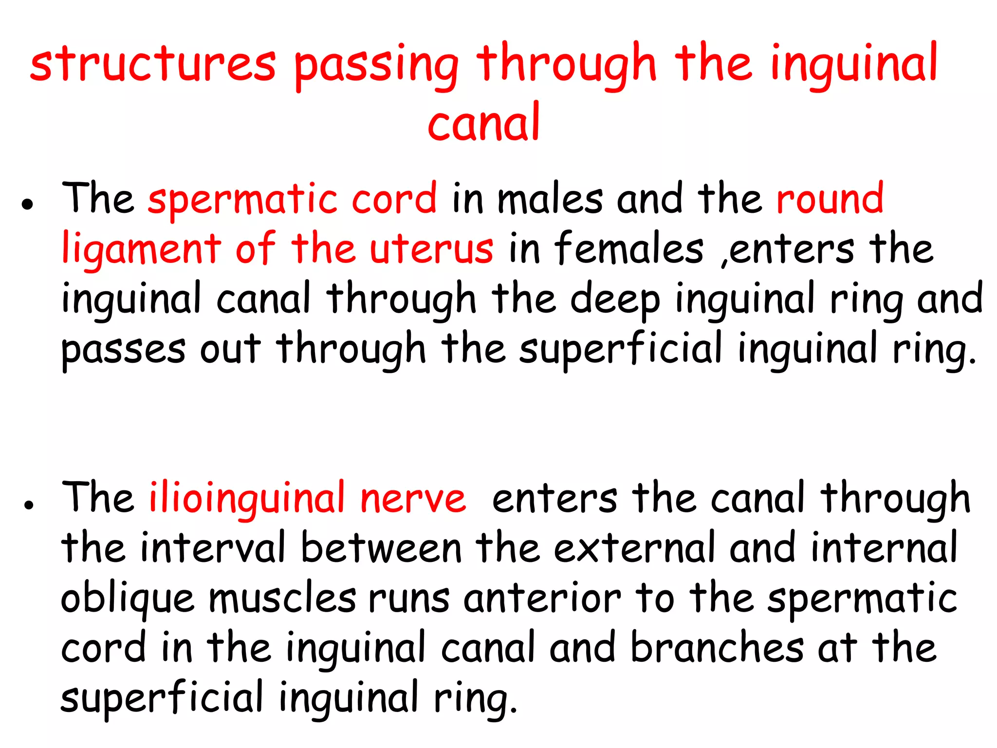 Surgical anatomy of inguinal canal | PPTX