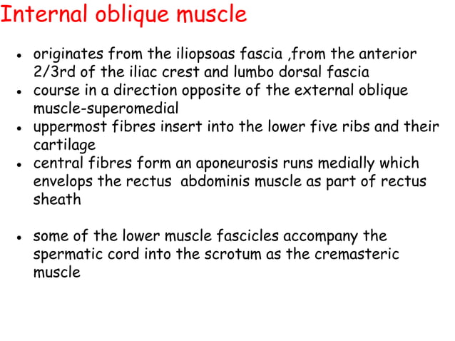 Surgical anatomy of inguinal canal | PPTX