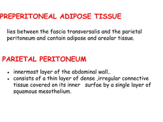 Surgical anatomy of inguinal canal | PPTX