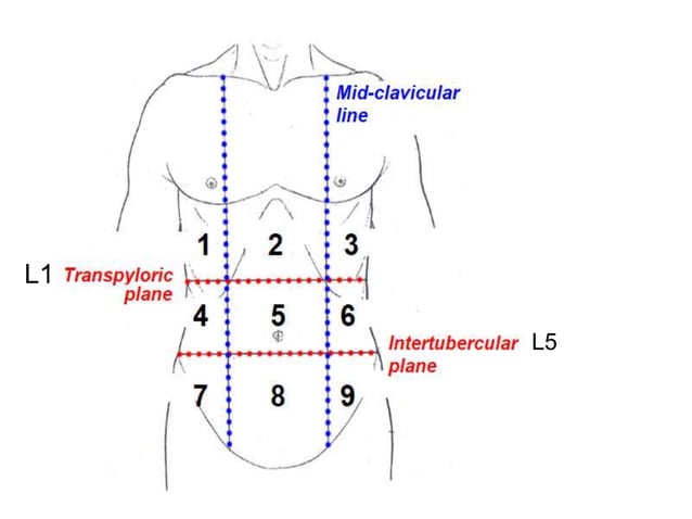 Surgical anatomy of inguinal canal | PPTX