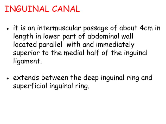 Surgical anatomy of inguinal canal | PPTX