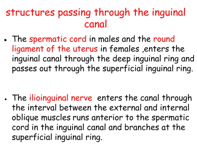 Surgical anatomy of inguinal canal | PPTX