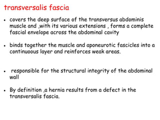 Transversalis Fascia Defects