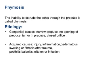 Surgical affection of penis and prepuce | PPTX
