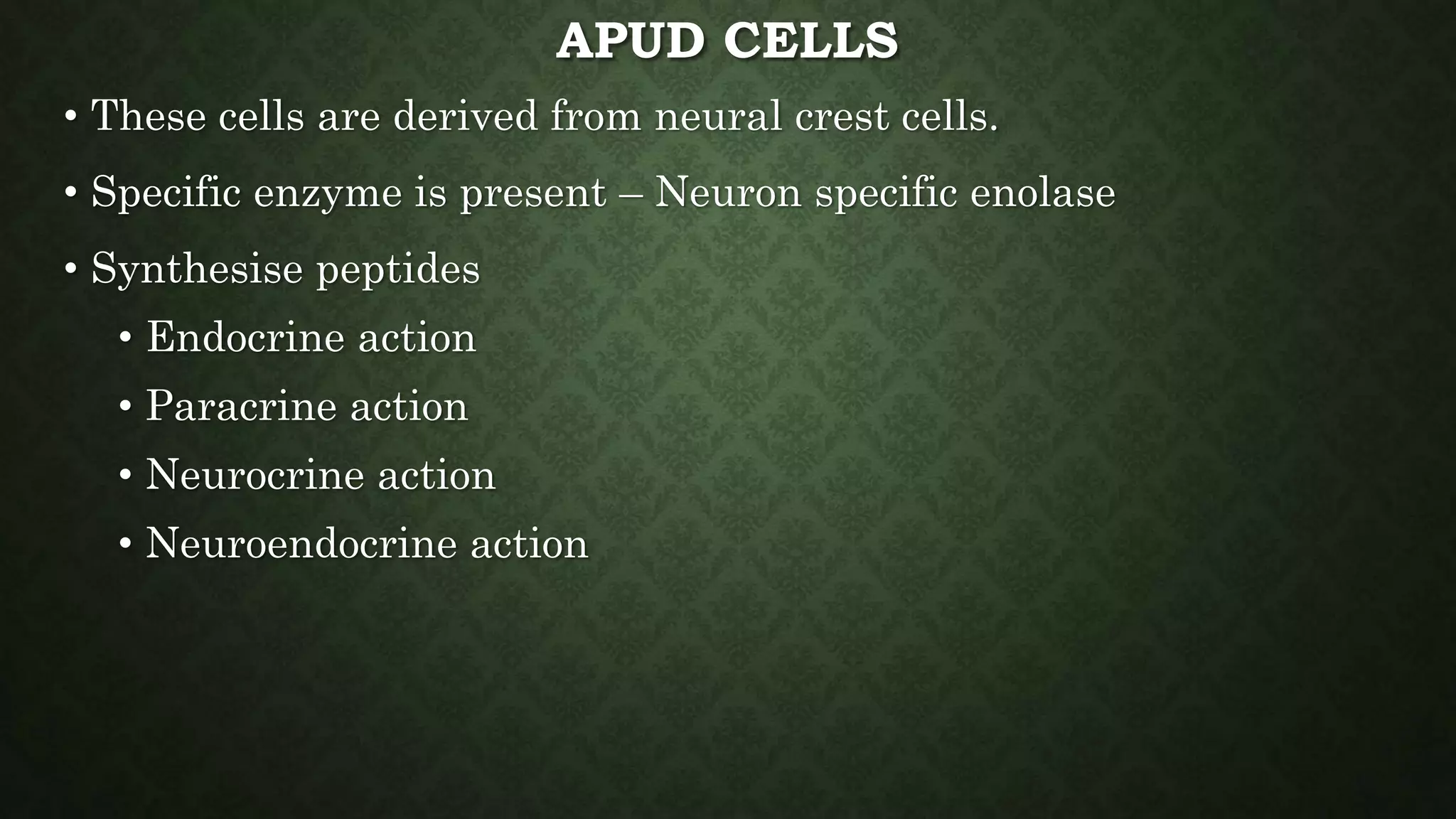 Surgical anantomy of thyroid gland | PPTX