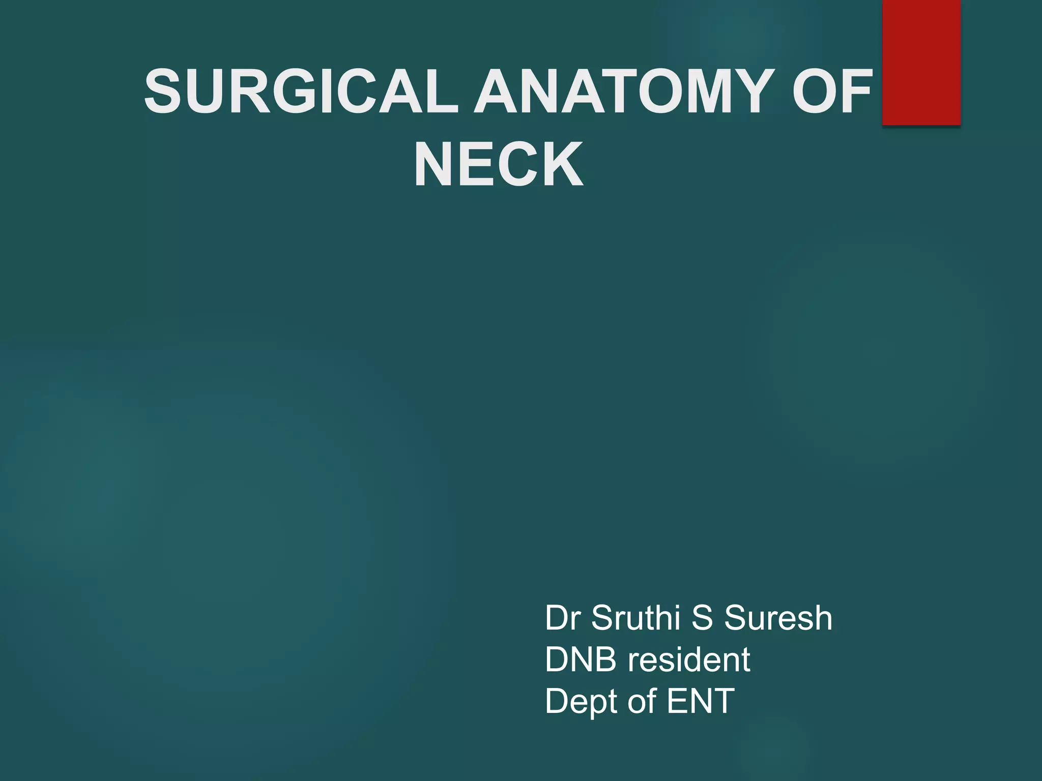 surgical anat neck akku (1).pptx
