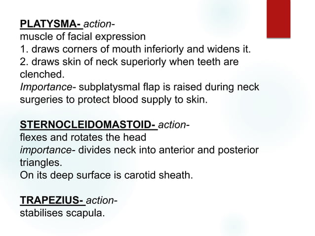 surgical anat neck akku (1).pptx