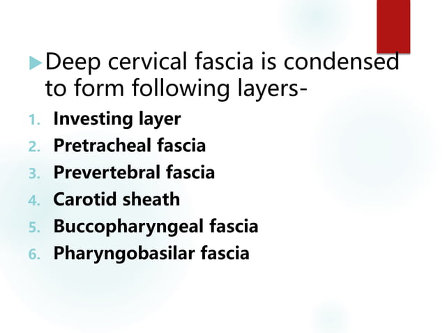 surgical anat neck akku (1).pptx