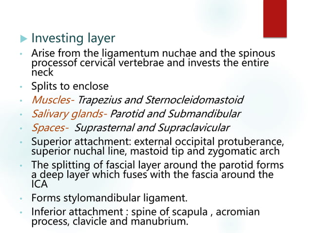 surgical anat neck akku (1).pptx