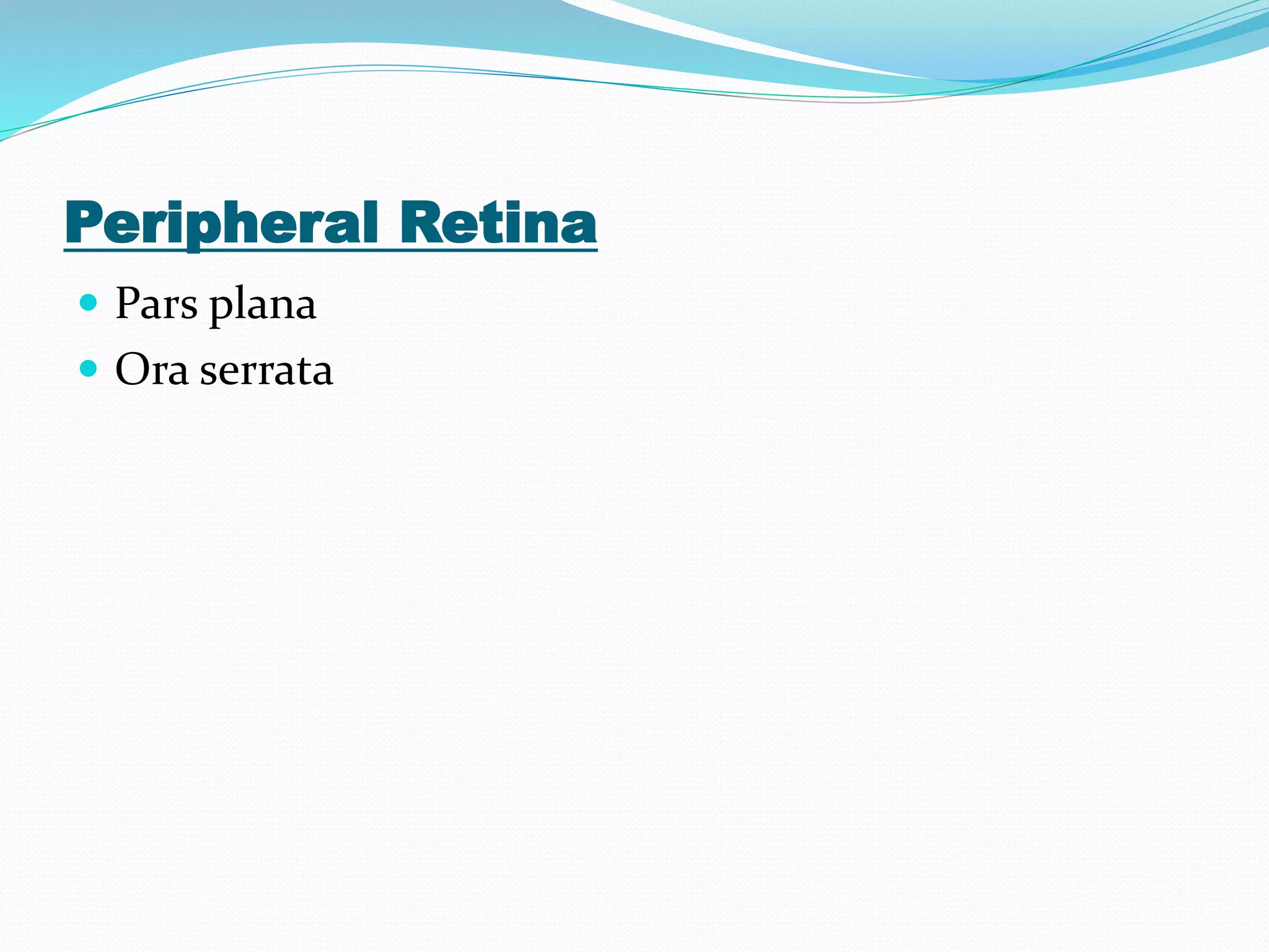 Surgical anatomy of the retina | PPTX
