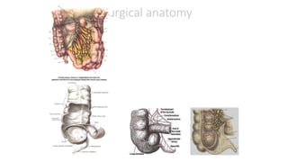 surgical anatomy.ppt