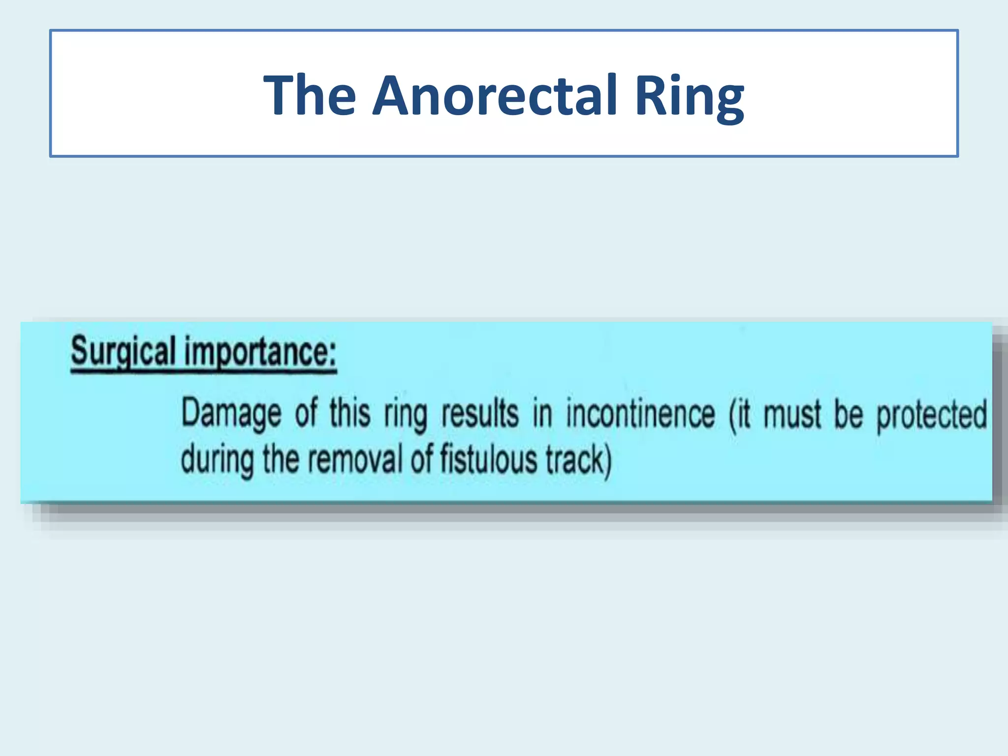 Surgical anatomy anal canal | PPTX