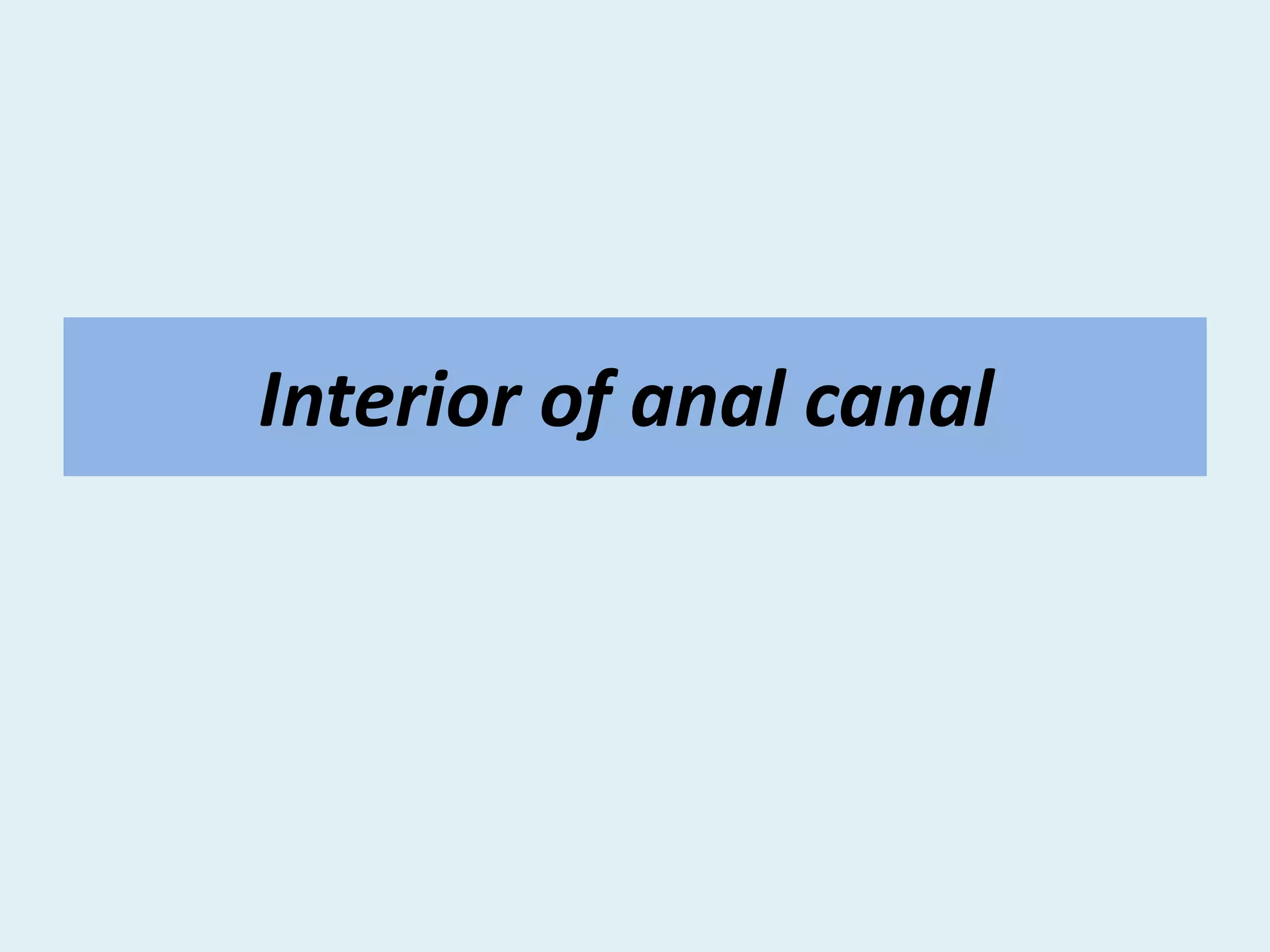 Surgical anatomy anal canal | PPTX