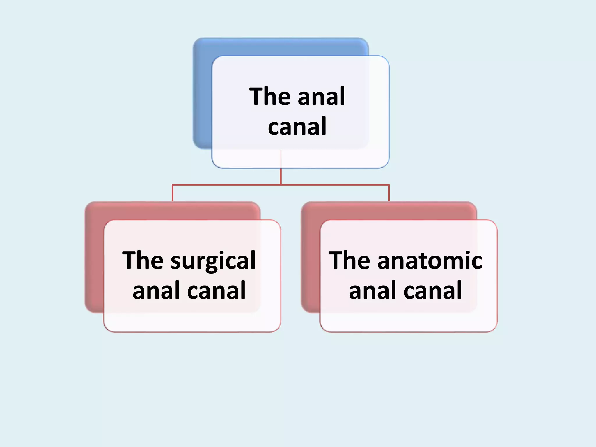 Surgical anatomy anal canal | PPTX