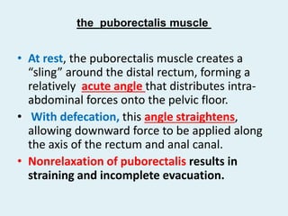 Surgical anatomy anal canal | PPTX
