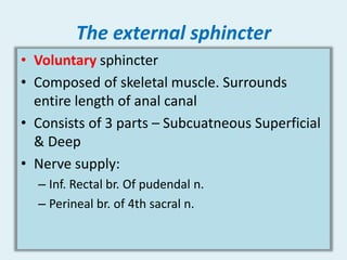 Surgical anatomy anal canal | PPTX