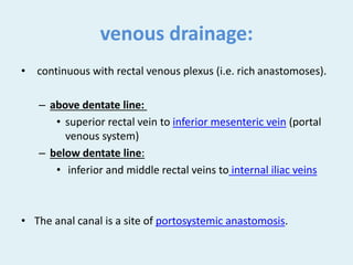 Surgical anatomy anal canal | PPT