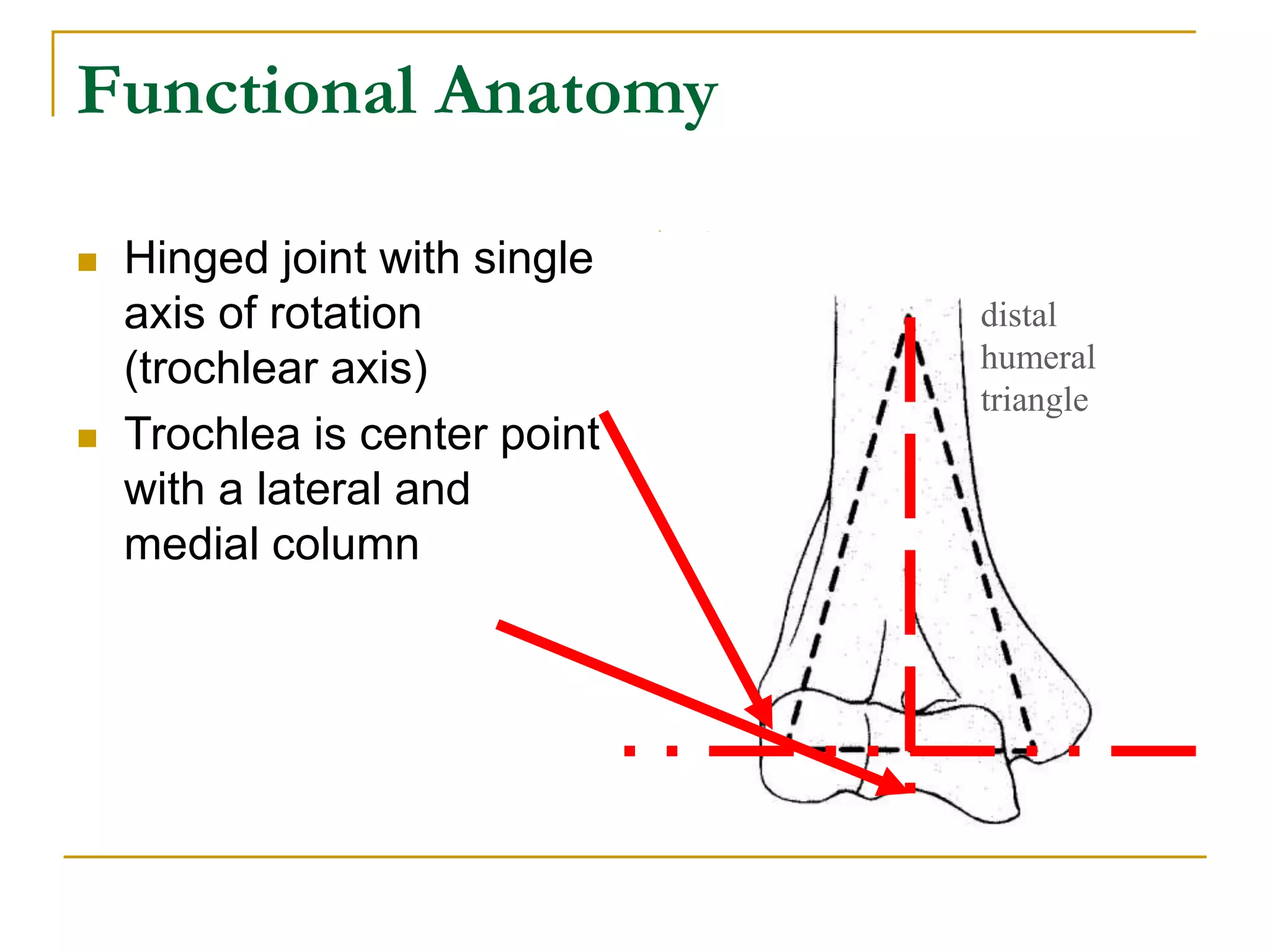 anatomy of elbow & fractures around elbow & surgical options in adults ...
