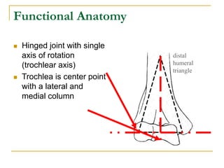 anatomy of elbow & fractures around elbow & surgical options in adults ...