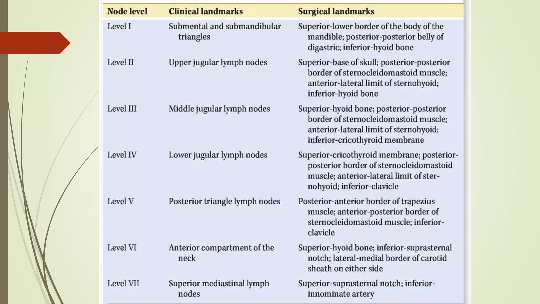 Surgical anatomy and oncological discussion of the neck | PPT