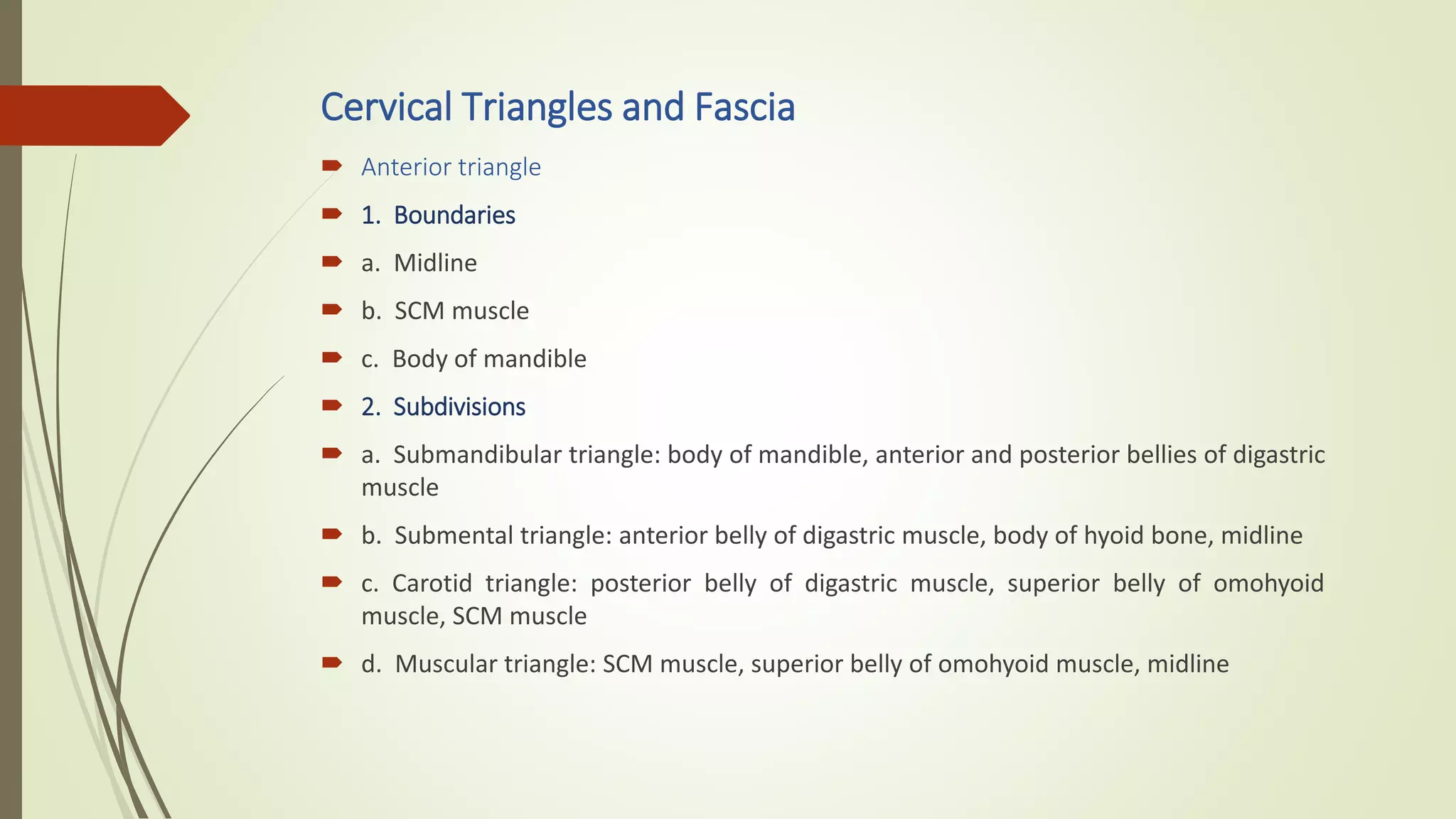 Surgical anatomy and oncological discussion of the neck | PPTX
