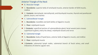 Surgical anatomy and oncological discussion of the neck | PPTX
