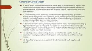 Surgical anatomy and oncological discussion of the neck | PPTX
