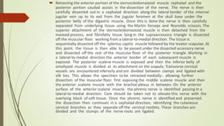 Surgical anatomy and oncological discussion of the neck | PPTX