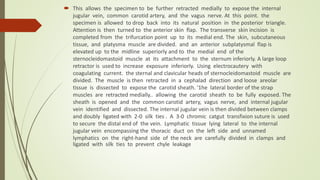 Surgical anatomy and oncological discussion of the neck | PPTX